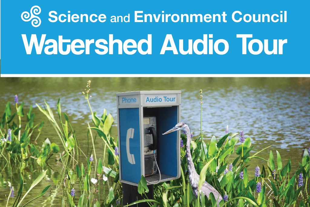 7.4 Support and promote green infrastructure demonstration projects ...